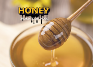 The Honey Handbook: Its Benefits, Uses, Dos & Don'ts - LifeStyleBeats